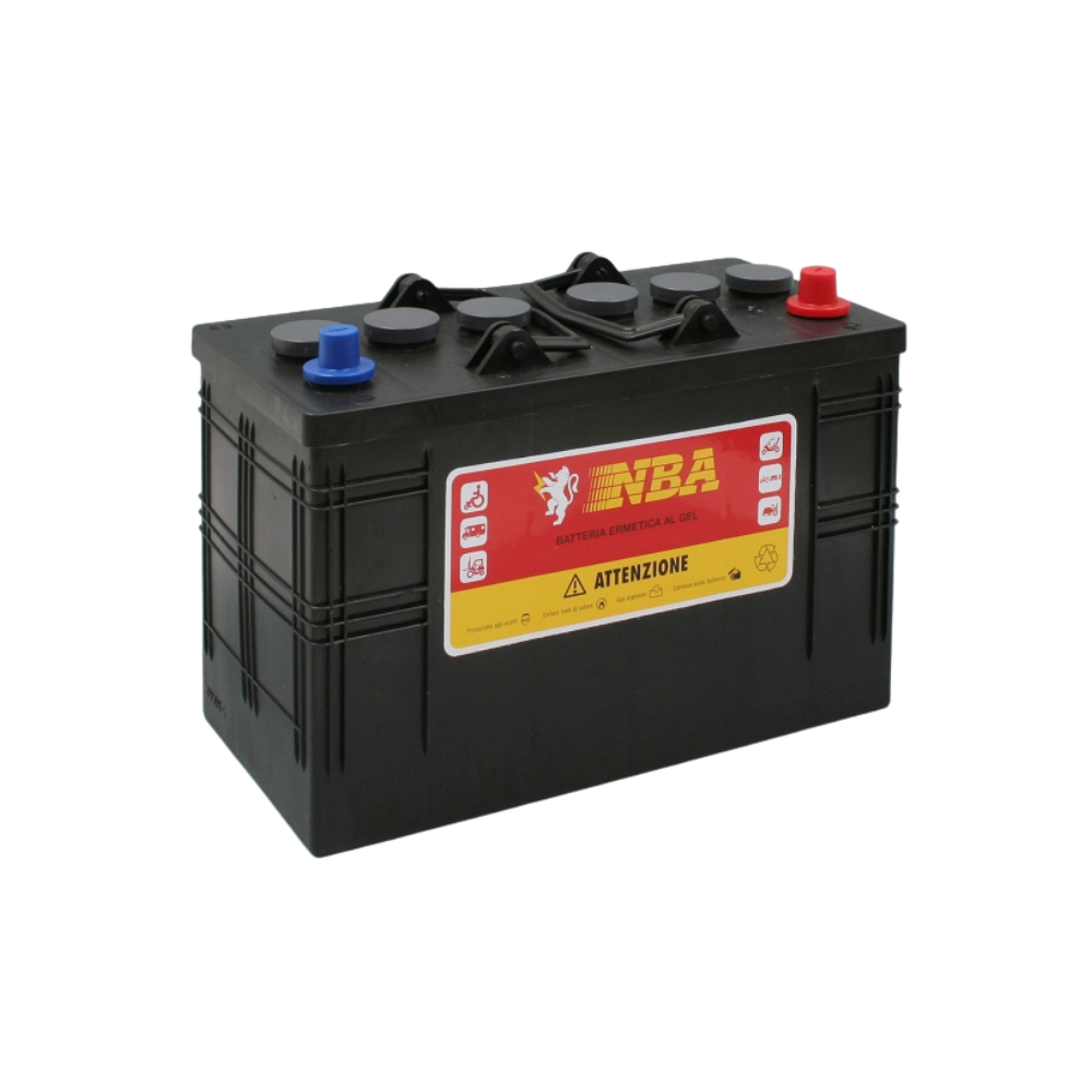 Centrofarc S.p.a.. BATTERIA GEL TRAZ. LEG. 12V/100Ah (4GL12N) X RUBY 48 BL/BLT
